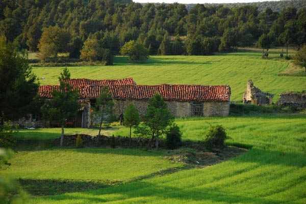 Scenes in the countryside near Lerma, Spain | European Focus