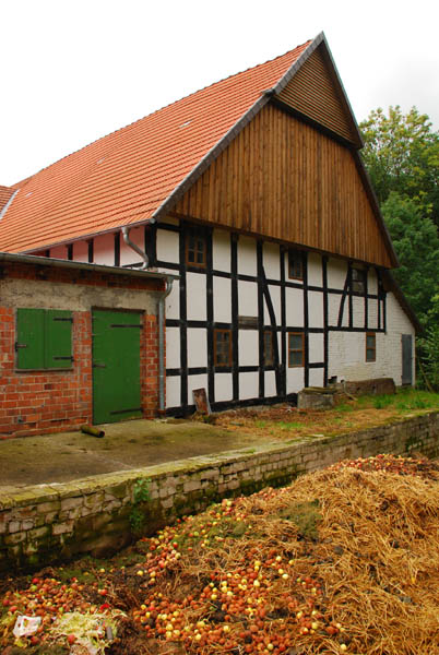 Grote Ancestral Farm in Mackenbruch, Lippe Detmold, Germany | European ...