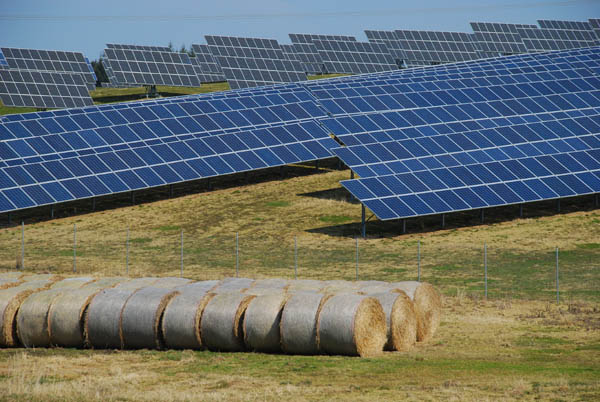 Solar Energy in Germany | European Focus