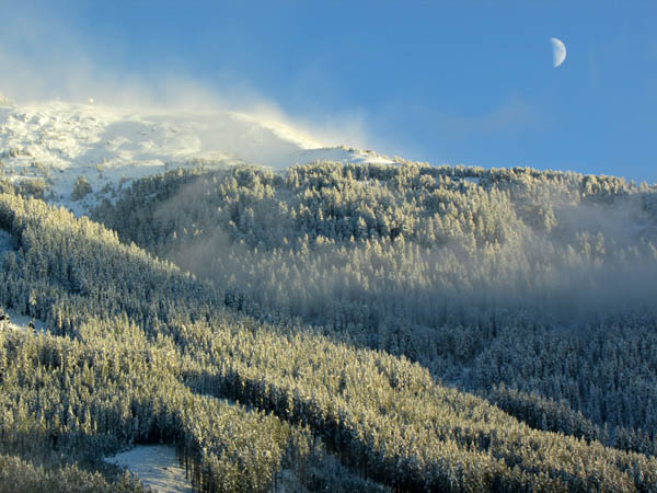 A Snowy Surprise in Tyrol, Austria | European Focus